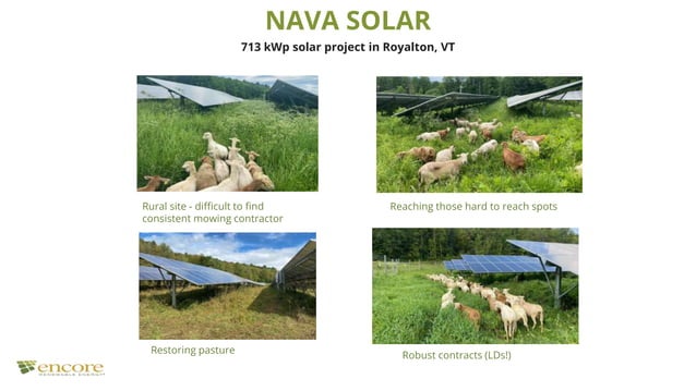 OPPORTUNITIES OF DUAL USE SOLAR | PPTX | Agriculture | Industries