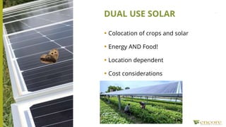 OPPORTUNITIES OF DUAL USE SOLAR | PPTX | Agriculture | Industries