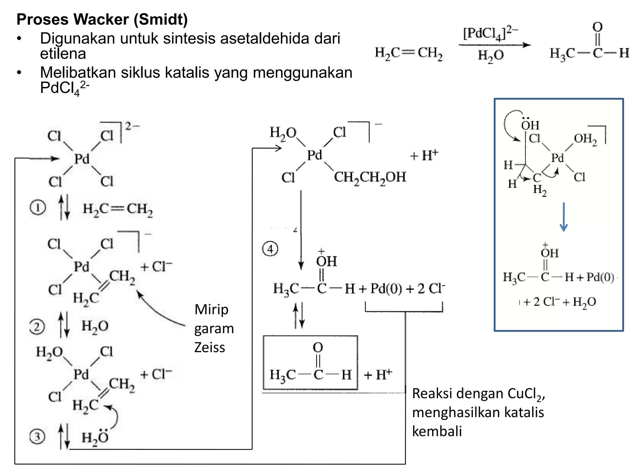reaksi-reaksi-organologam.pptx