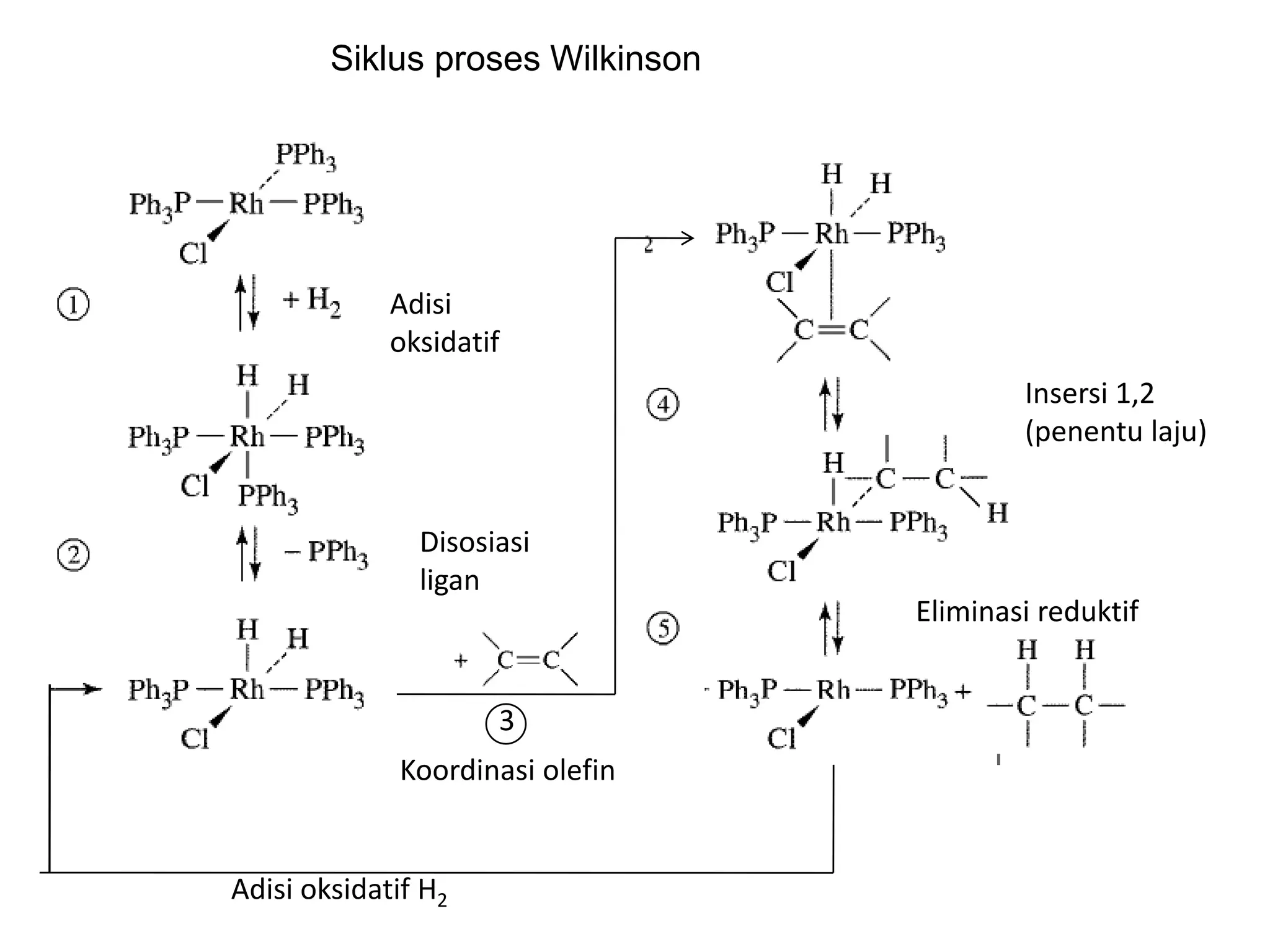 reaksi-reaksi-organologam.pptx