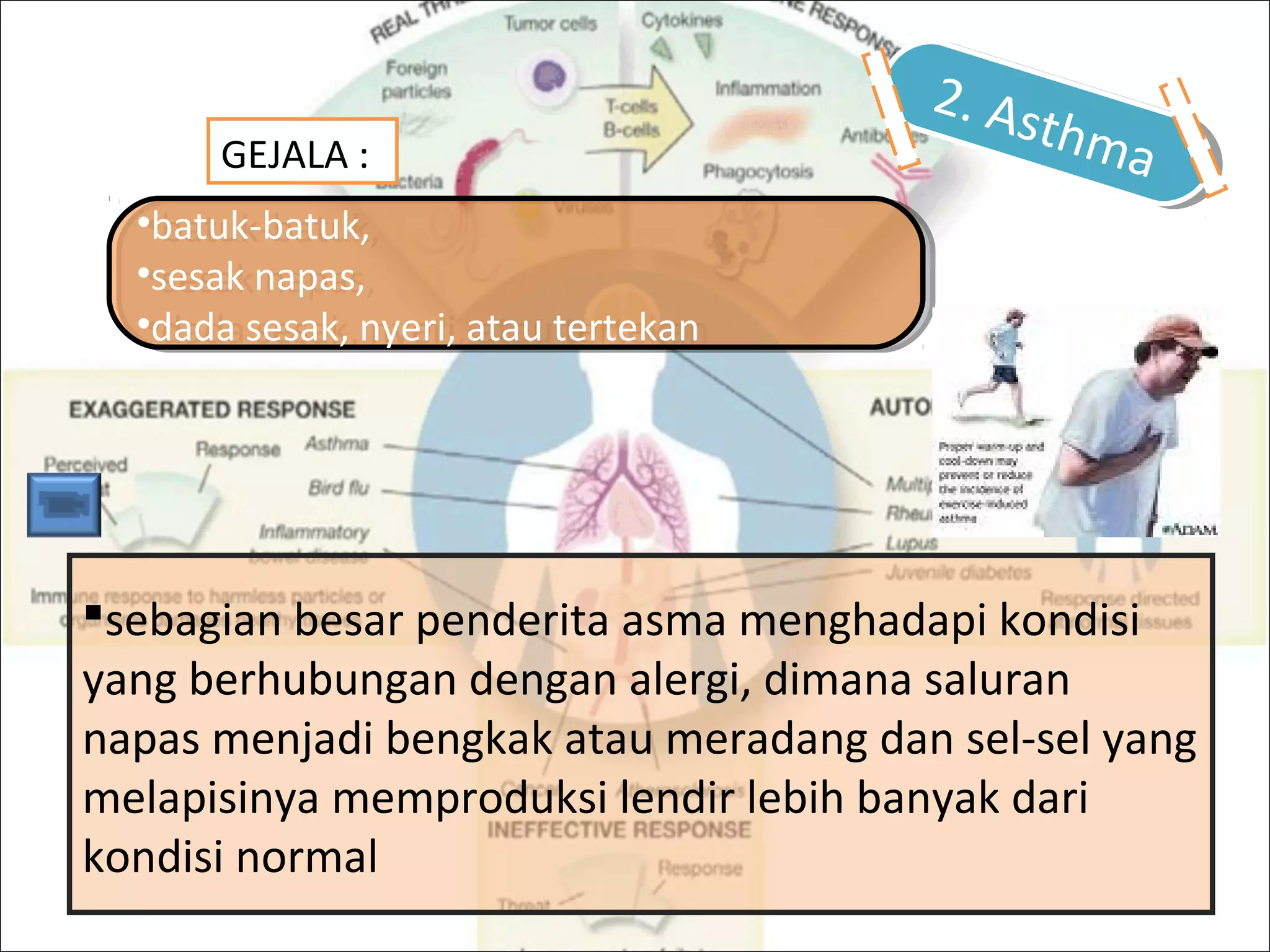 Reaksi alergi | PPT