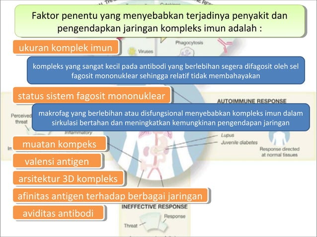 Reaksi alergi | PPT