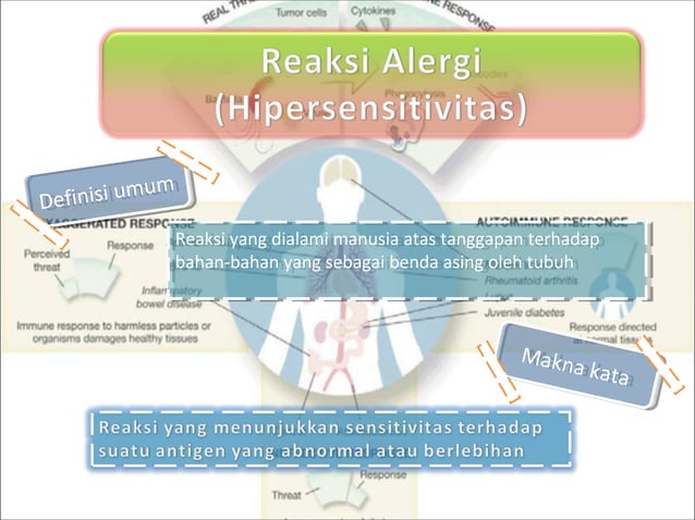 Reaksi alergi | PPT