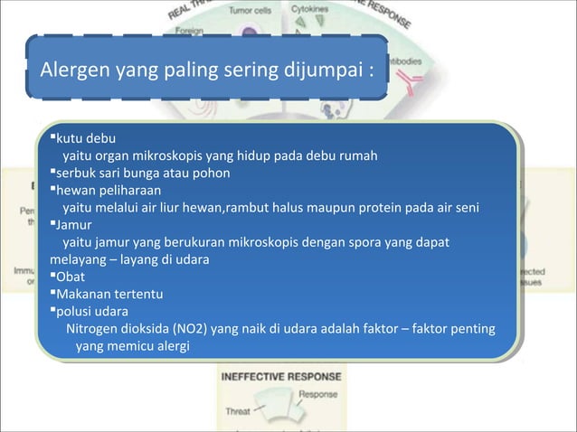 Reaksi alergi | PPT
