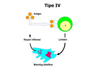 Reaksi hipersensitivitas | PPTX