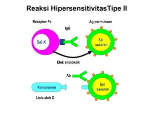 Reaksi hipersensitivitas | PPTX