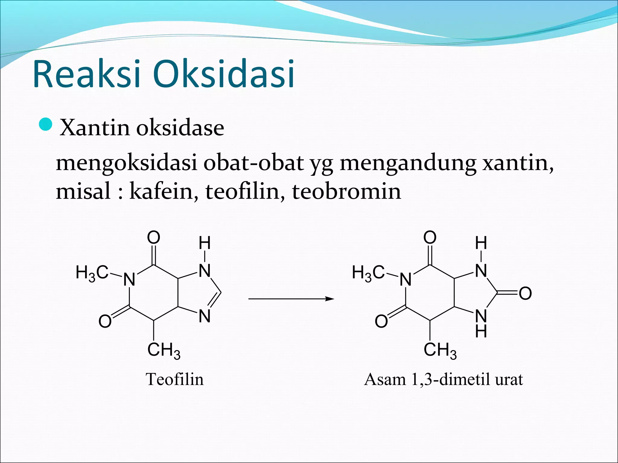 Reaksi Kimia dalam Metabolisme Obat | PPT