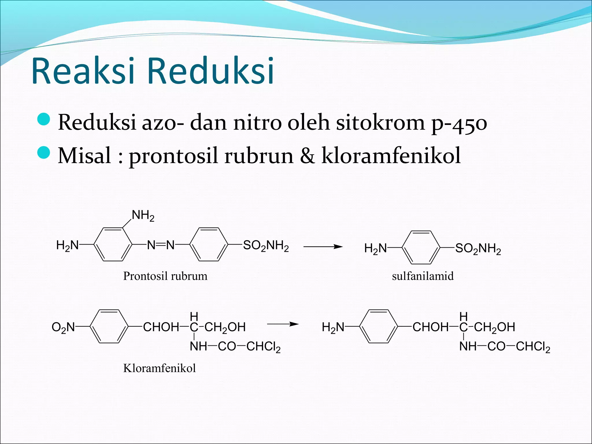 Reaksi Kimia dalam Metabolisme Obat | PPT