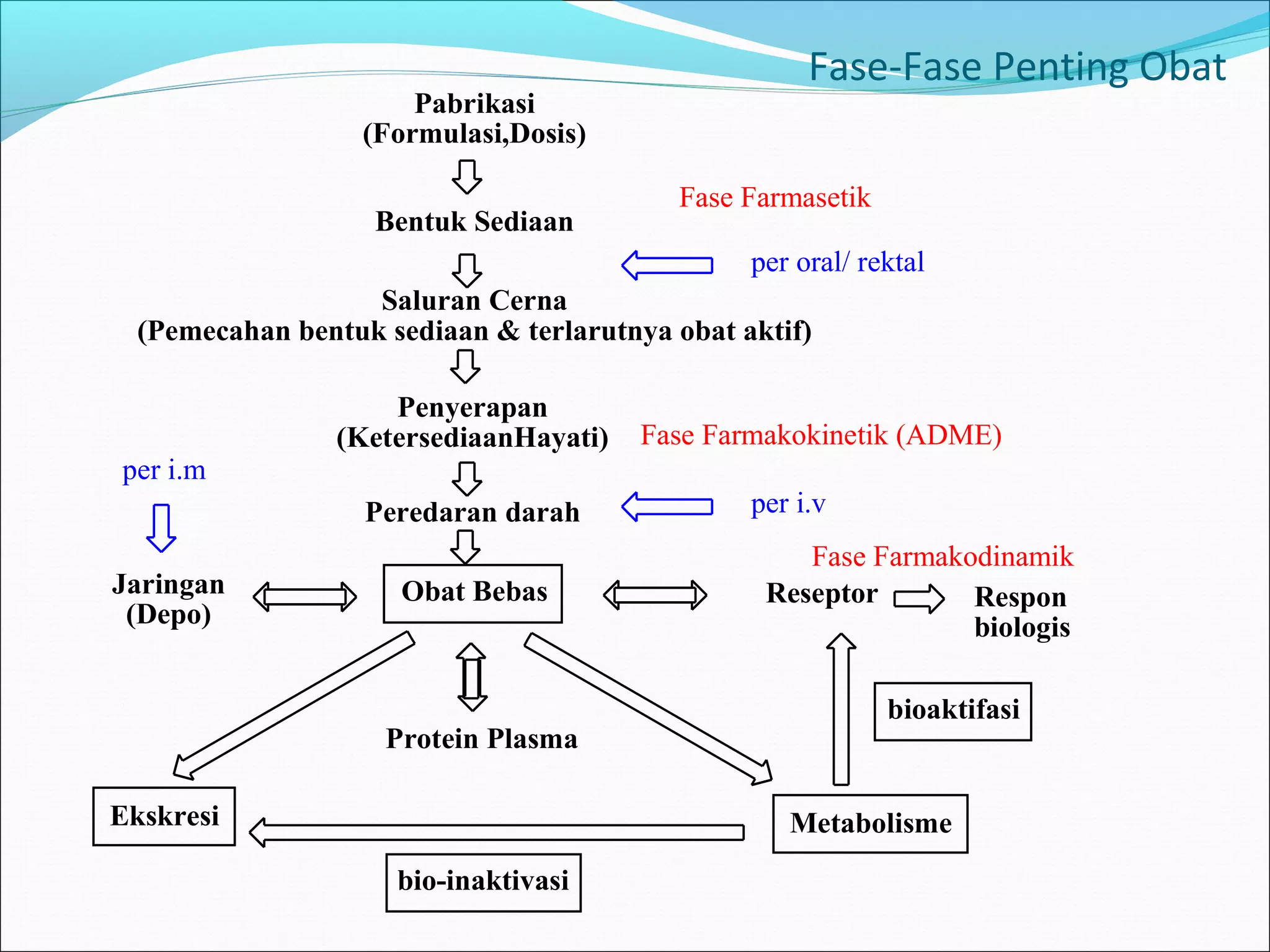 Reaksi Kimia dalam Metabolisme Obat | PPT