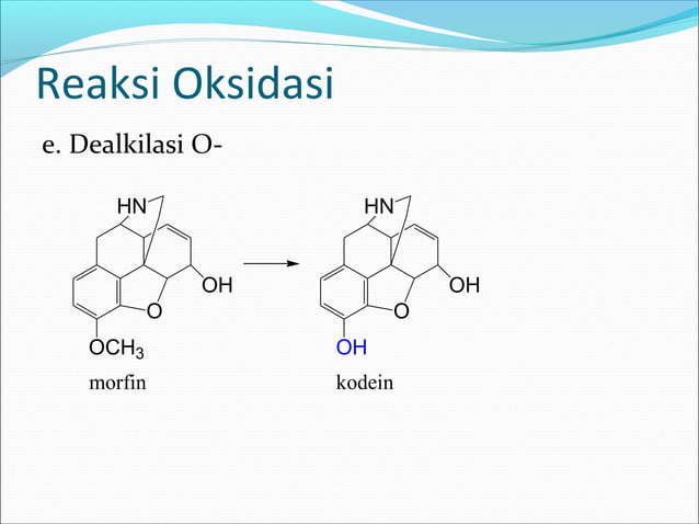 Reaksi Kimia dalam Metabolisme Obat | PPT