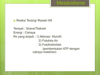 Biologi Reaksi Hill / Reaksi Terang | PPTX