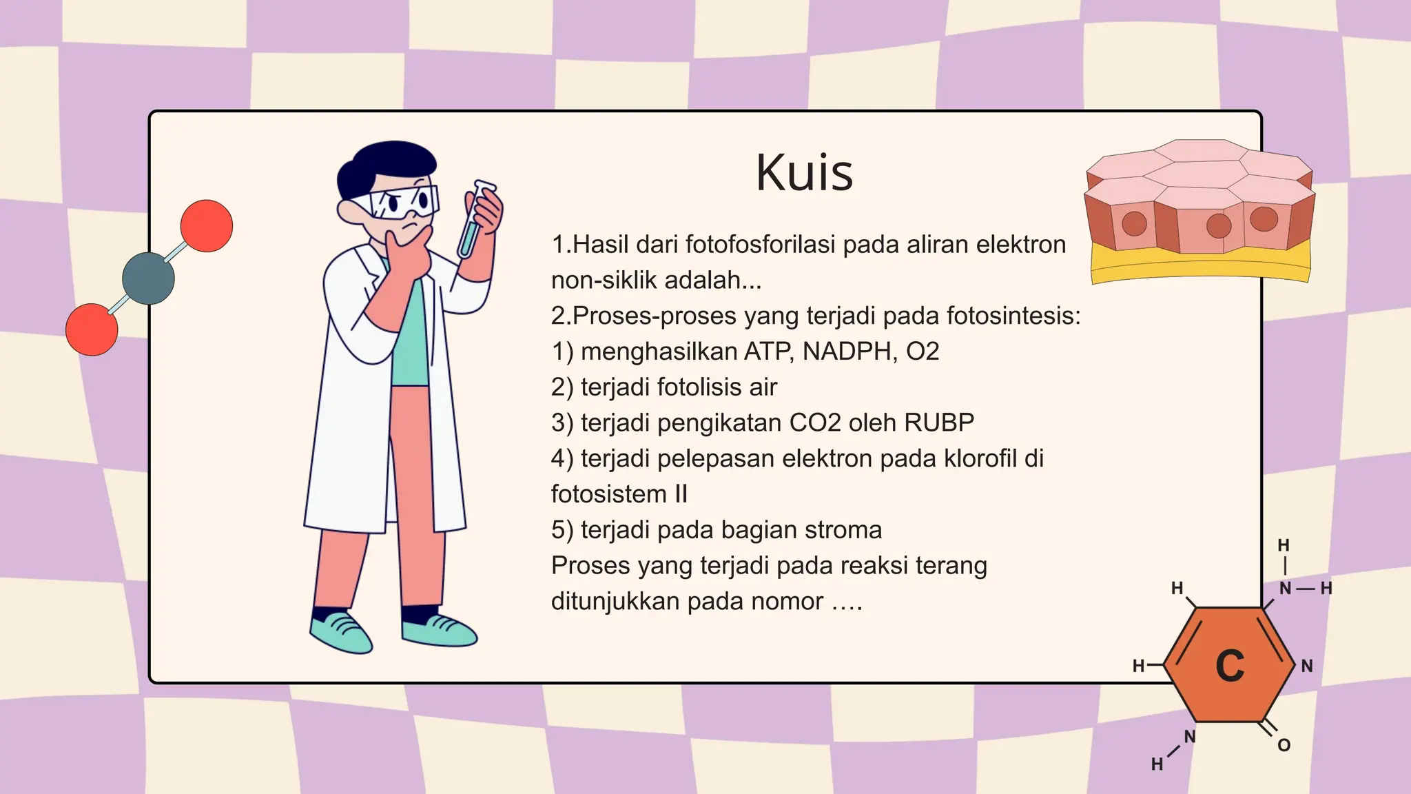 REAKSI TERANG PADA TUMBUHAN BUTUH CAHAYA MATAHARI | PPTX