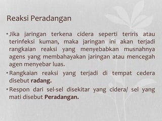 Reaksi tubuh terhadap cidera | PPTX