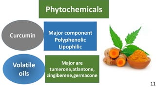 Pharmacognostic features of curcuma | PPT | Free Download
