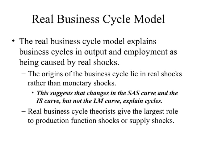 real-business-cycle-model in the global.ppt