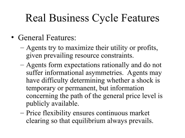 real-business-cycle-model in the global.ppt