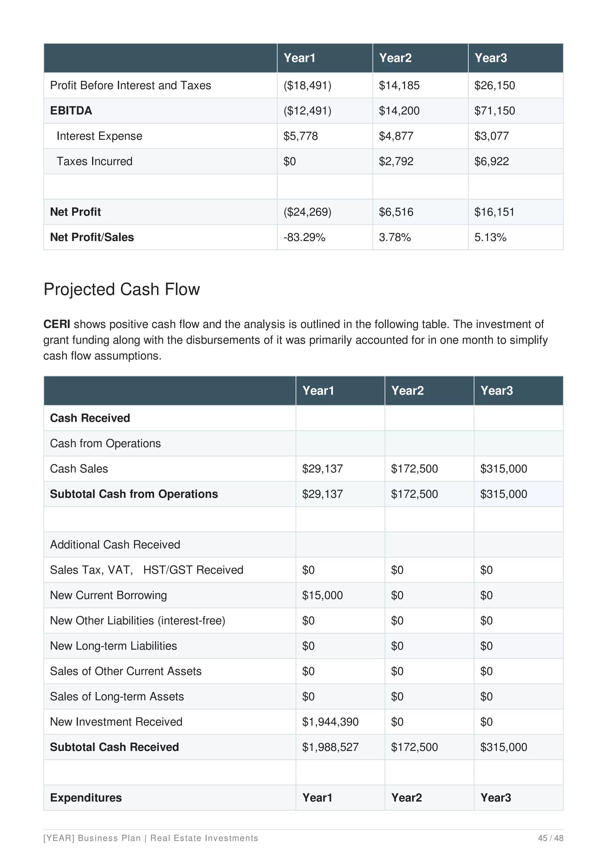 Real estate investment business plan example | PDF