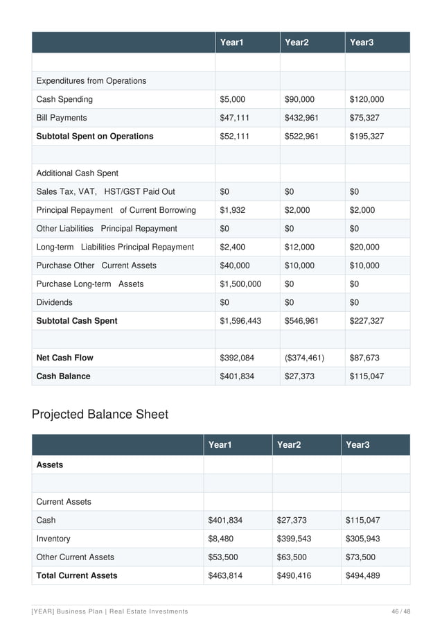 Real estate investment business plan example | PDF