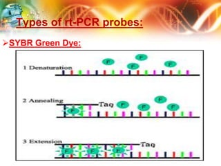 Real -Time PCR.pptx