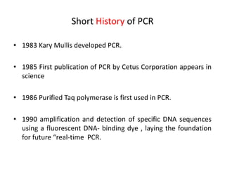 Real-Time PCR.pptx