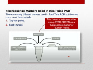 REAL-TIME PCR.pptx by UMNA FATIMA- BIOMED | PPTX