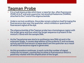 REAL-TIME PCR.pptx by UMNA FATIMA- BIOMED | PPTX | Chemistry | Science
