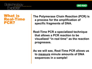 Real-Time_Polymerase Chain Reaction Powerpoint | PPT