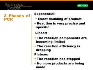 Real-Time PCR Basics the polymerase chain reaction is process of ...