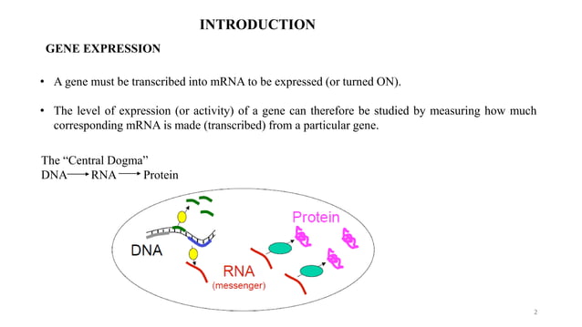 Real time pcr, reverse transcripta pcr, gene expression methods and microarray | PPTX