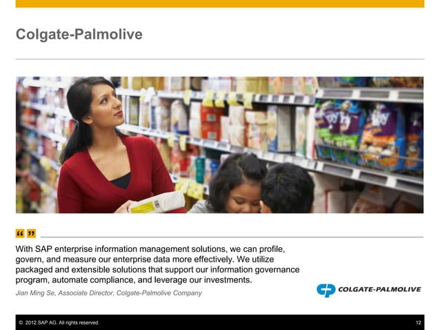 Real-World Data Governance - Tools of Data Governance - Purchased and ...