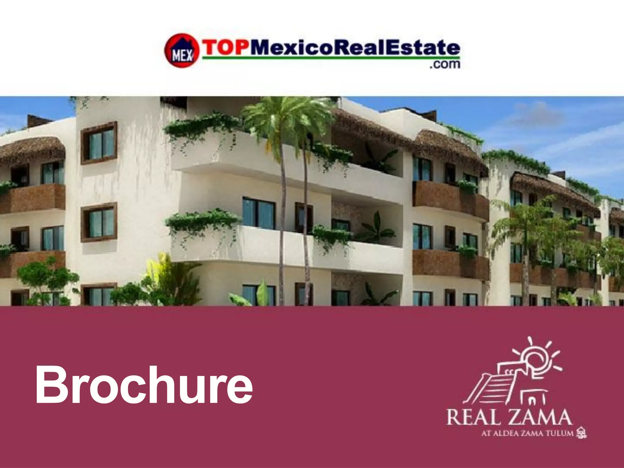 Real Zama - Brochure (B) - TopMexicoRealEstate.com | Free Download