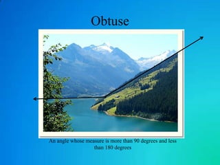 Obtuse Angles In Nature