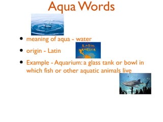 Real emma and izabella copy | PPT | Weather | Science