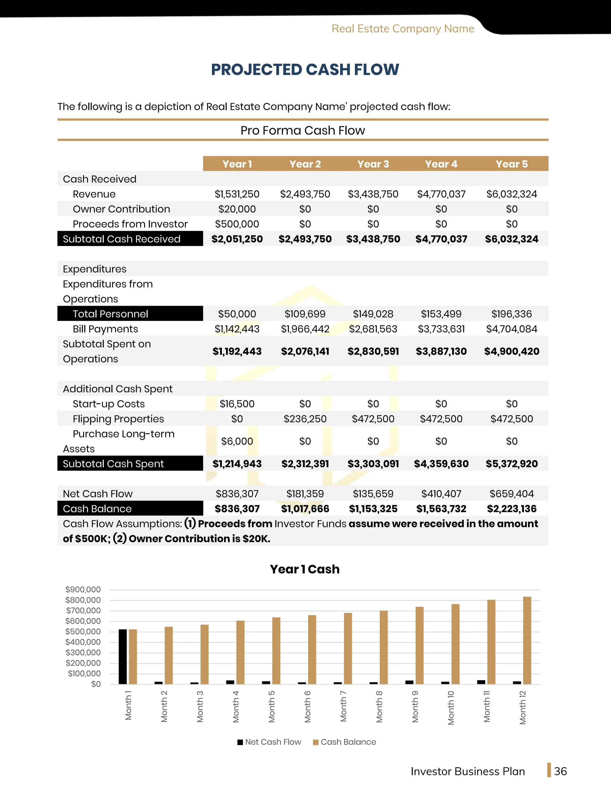 REAL ESTATE | Investor Business Plan (Sample)) | PDF