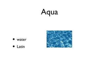 Real fanklyn and andrew's powerpoint copy | PPT