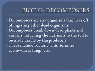 The Forest Ecosystem and its Classification | PPTX