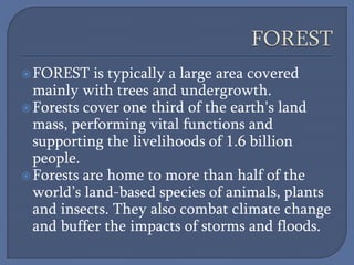 The Forest Ecosystem and its Classification | PPTX