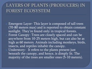 The Forest Ecosystem and its Classification | PPTX