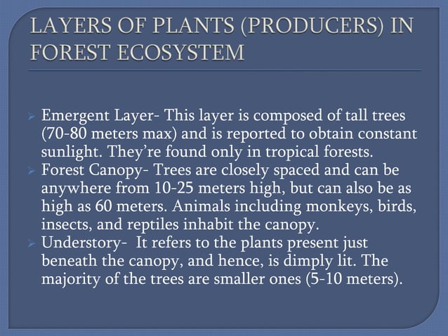 The Forest Ecosystem and its Classification | PPT