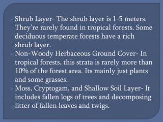The Forest Ecosystem and its Classification | PPTX