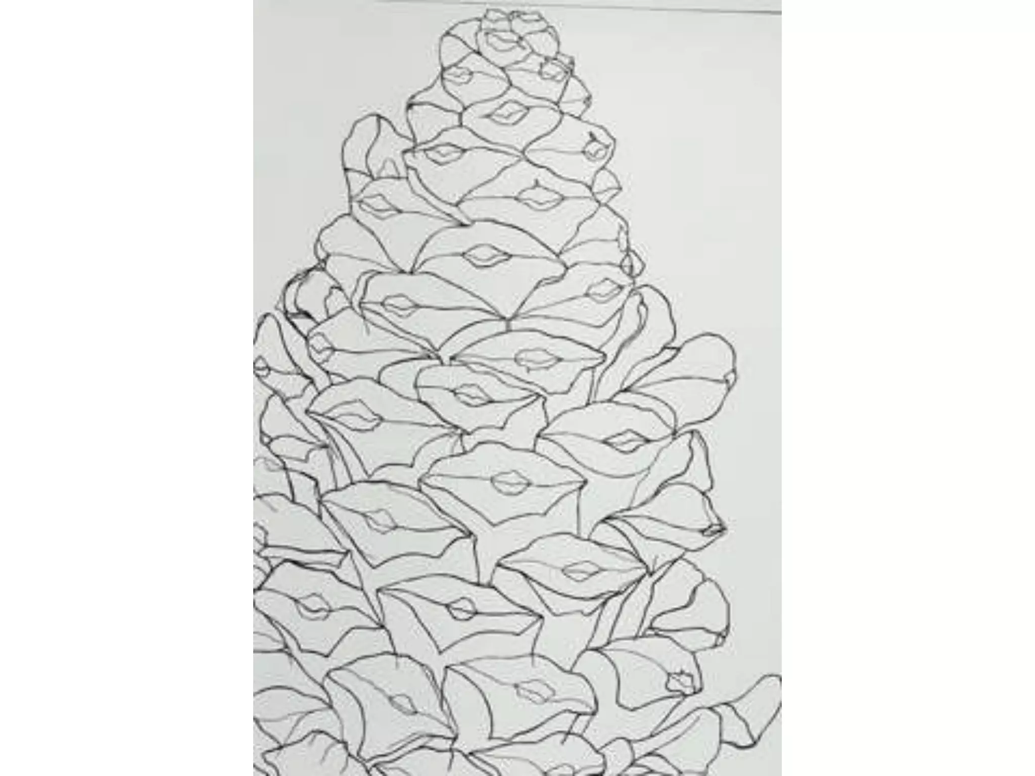 Realistic contour line drawings | PPT