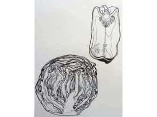 Realistic contour line drawings | PPT