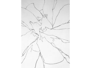 Realistic contour line drawings | PPT