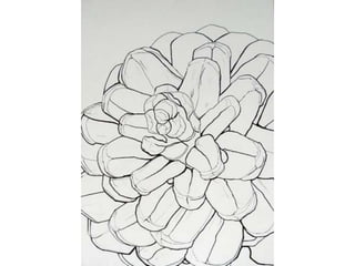 Realistic contour line drawings | PPT