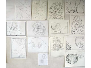 Realistic contour line drawings | PPT