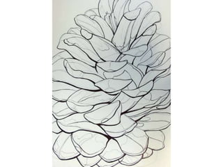 Realistic contour line drawings | PPT