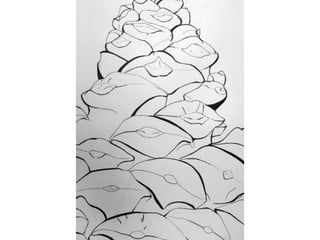 Realistic contour line drawings | PPT