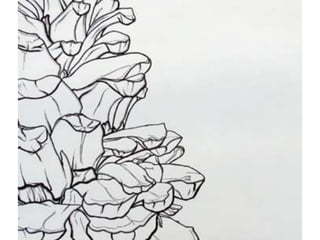 Realistic contour line drawings | PPT
