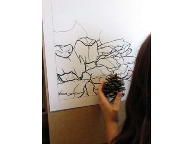 Realistic contour line drawings | PPT