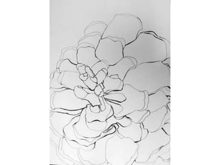 Realistic contour line drawings | PPT